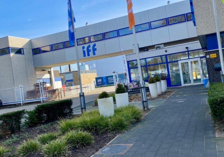 Het succesverhaal van IFF